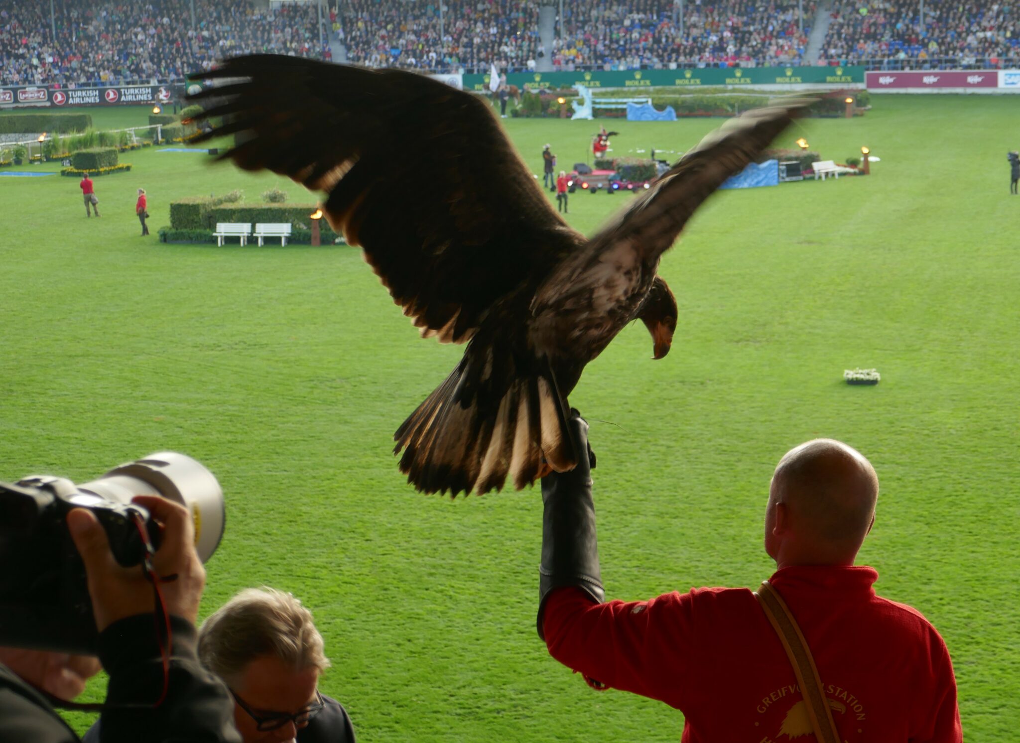 Adler flieg! (zurück) - MEDIA MATHIEU